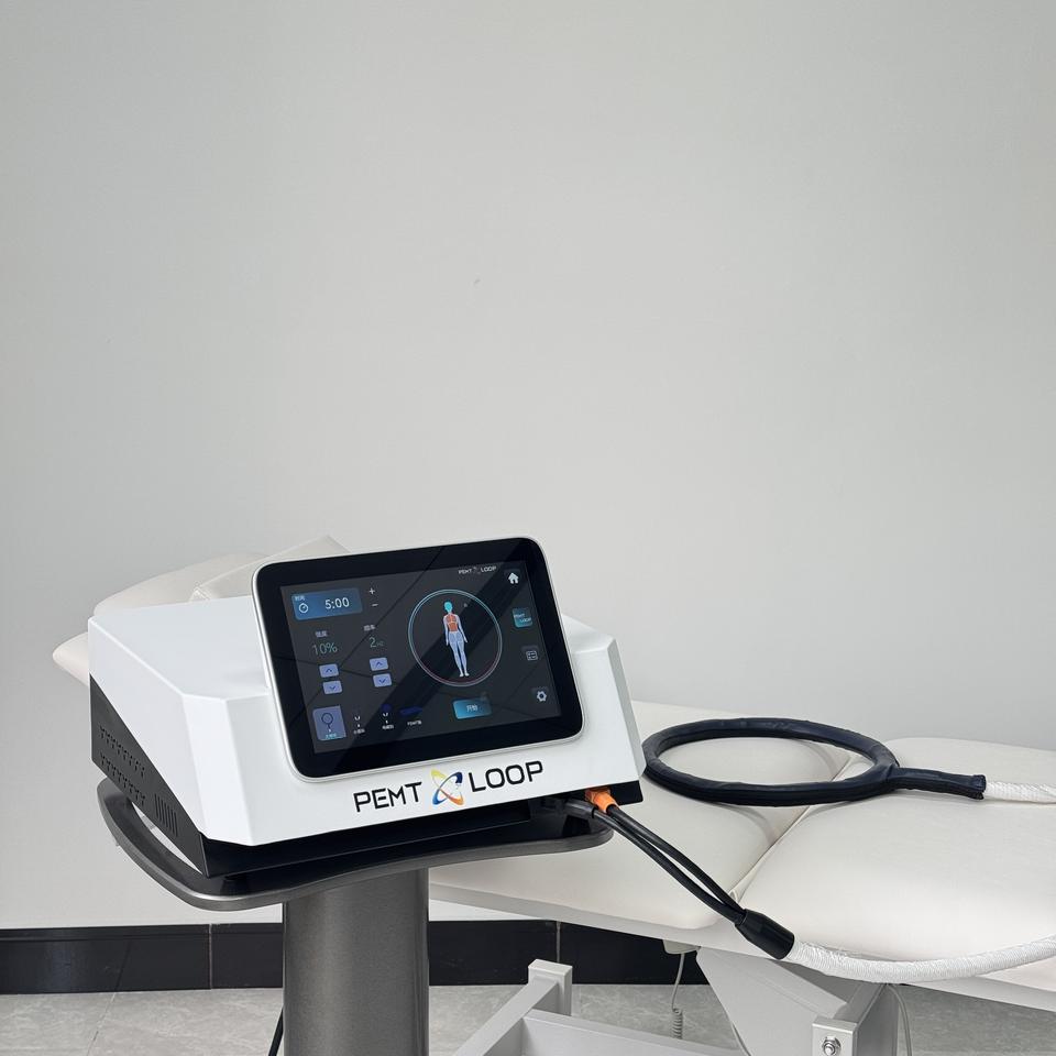 Pemf Max Loop Magnetic Therapy Machine Electro-Magnetic Wave Device for ...
