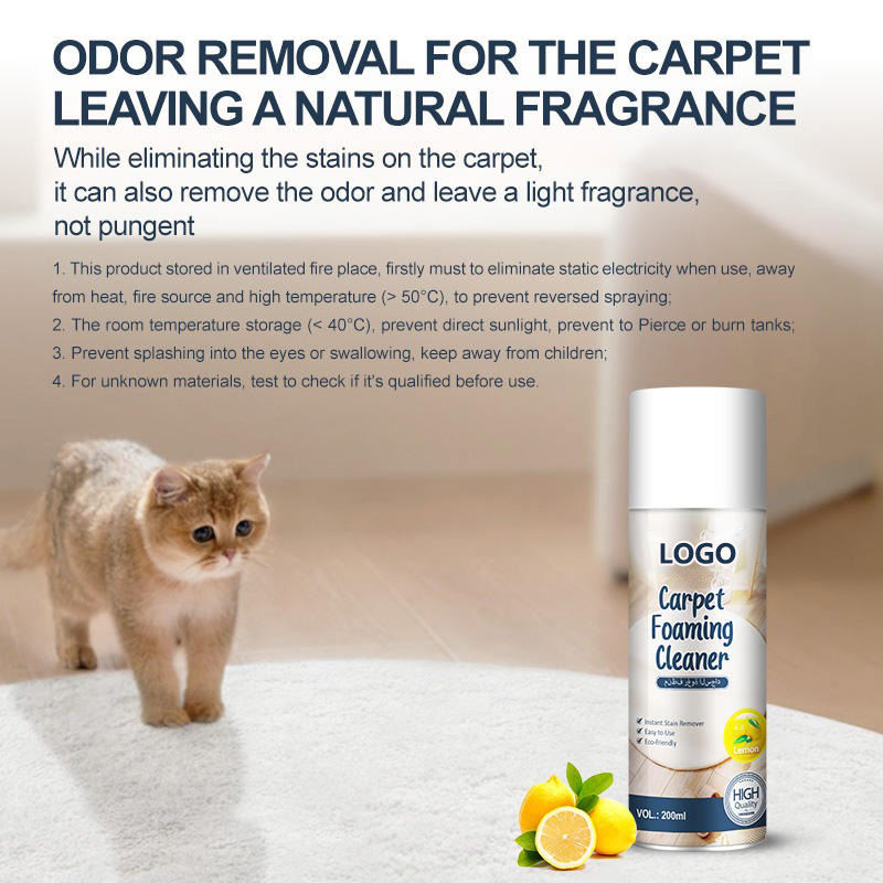 Whjj Carpet Cleaner - Professional Foam Carpet Cleaning