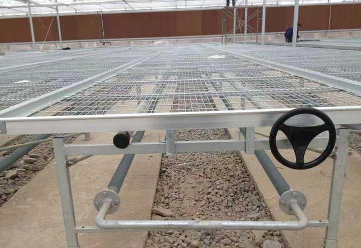Rolling Table System Movable Greenhouse Seedbed Low tide Tray ...