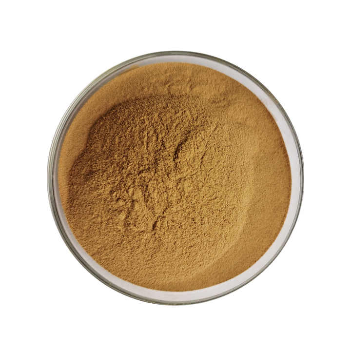 High Quality Fructus Viticis - Chaste Tree Berry Extract