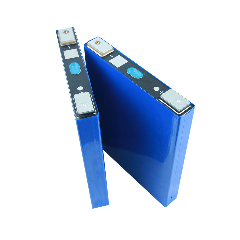 How to Choose the Best Deligreen: A Complete Buying Guide