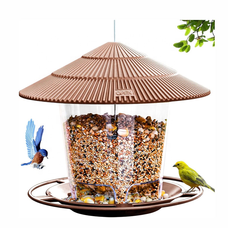 Plastic Bowls - Durable, Wholesale, and Biodegradable