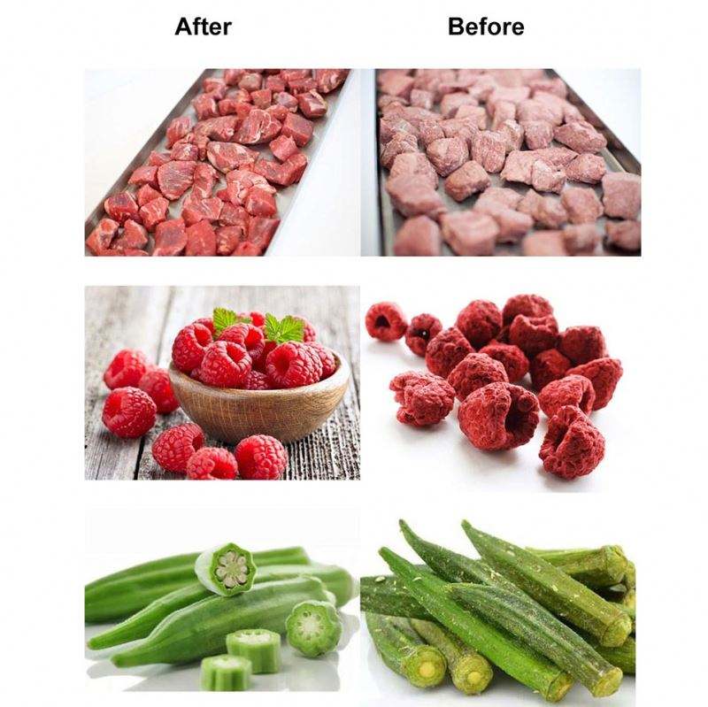 Mini Freeze Dryer - Efficient Candy & Fruit Preservation