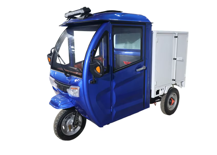 60v Cargo Electric Tricycles Closed Cargo 3-Wheel Electric Rickshaw ...