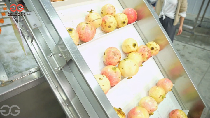 Stainless Steel Watermelon Melon Papaya Washing Banana Cleaner Banana ...