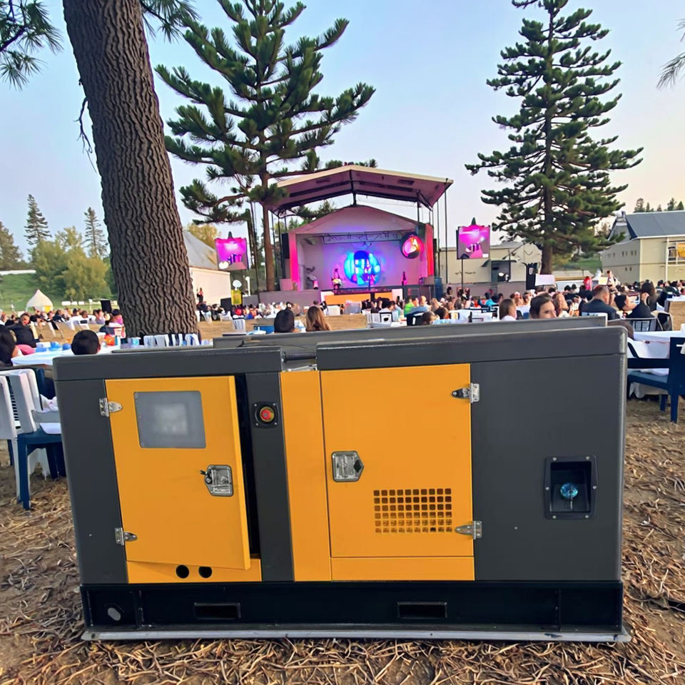 50HZ 60HZ Portable Diesel Generator 220V/110V/230V TECHNIC POWER TP19YD ...