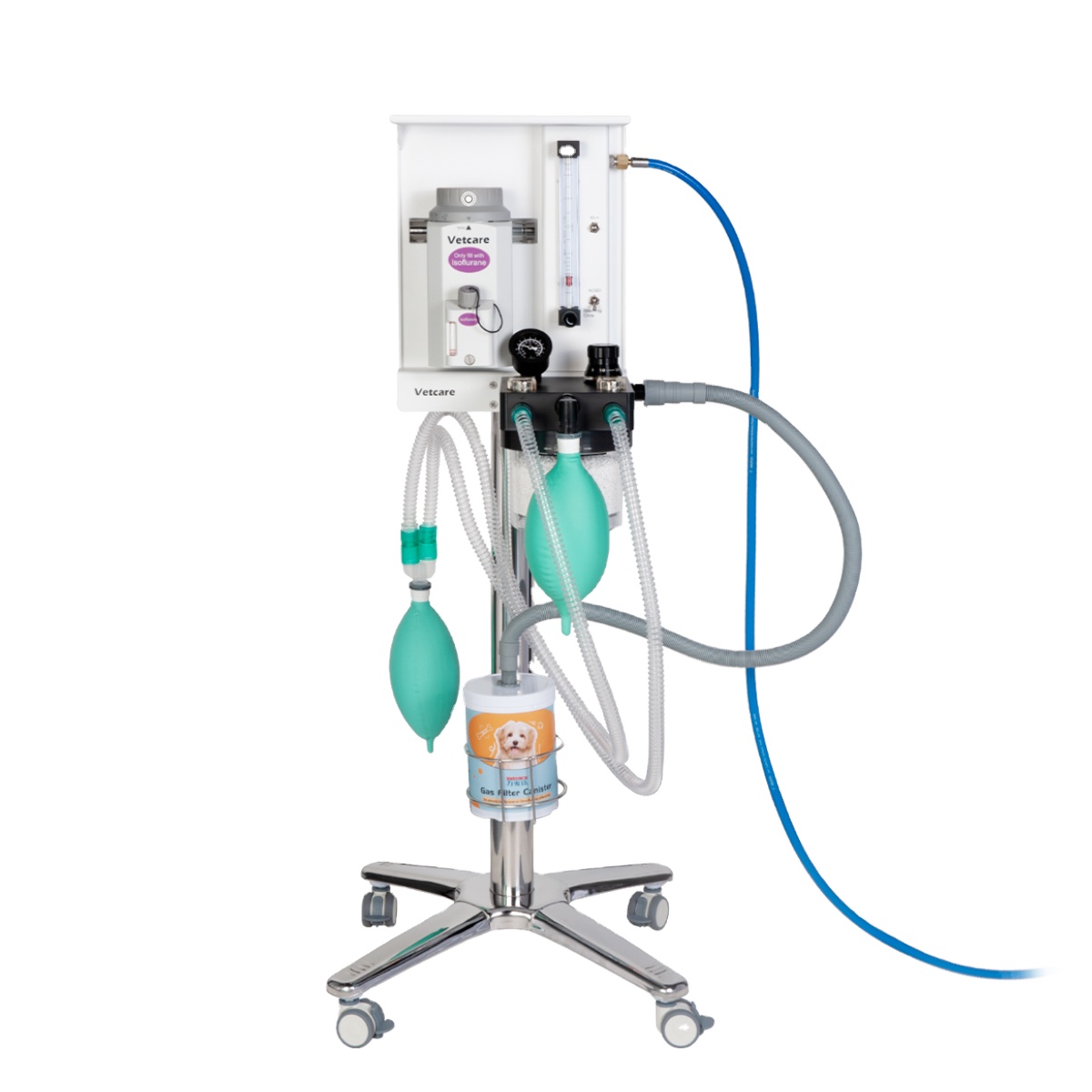 Shenzhen Ruio Medical Technology Co., Ltd. - veterinary anesthesia ...