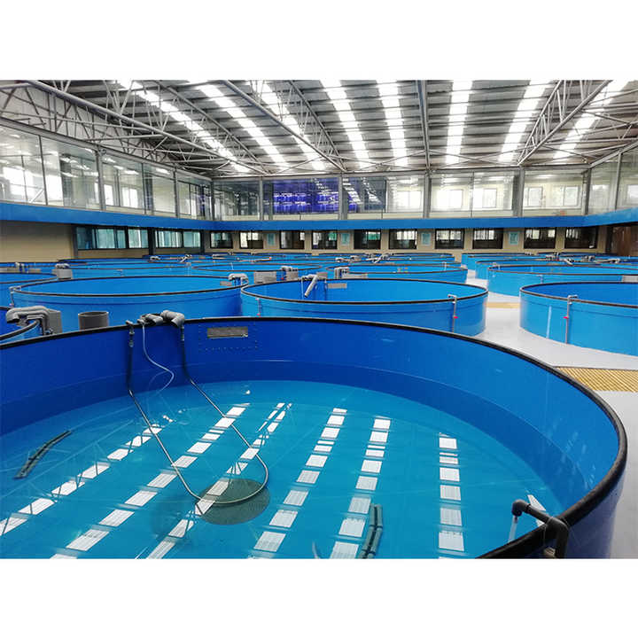 Indoor Ras Shrimp Farming Equipment - IGREEN IGRAS System