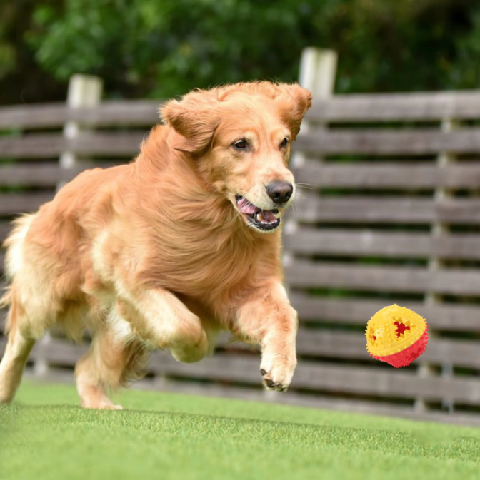 New Interactive Training Dog Toy Eco-Friendly Leaky Food Bite Grinding ...