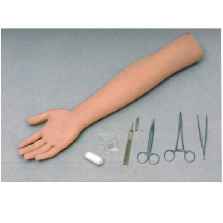 Medical Science Surgical incision and suture training arm model ...