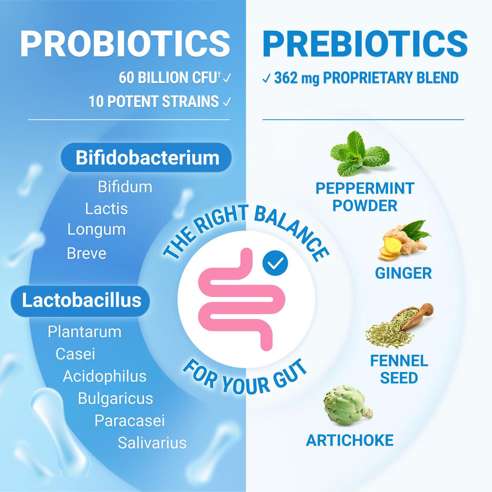 Hight Quality Probiotics Supplement Promotes a Healthy Microbiome for ...