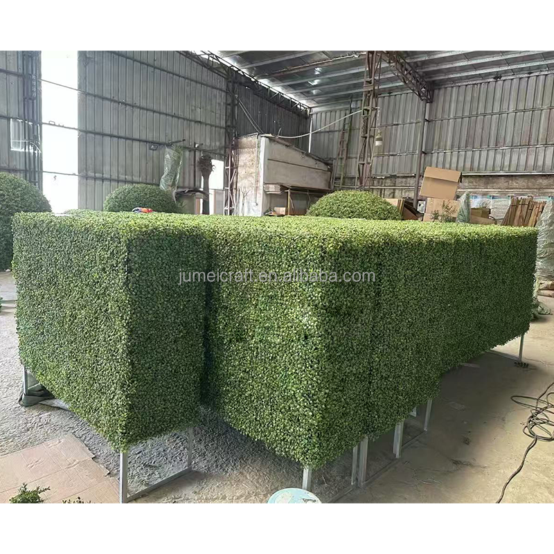 How to Choose the Best Privacy Plants for Your Outdoor Space