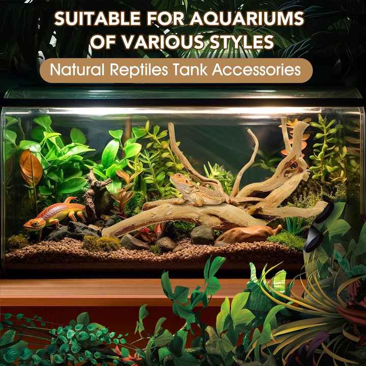 Natural Aquarium Spiderwood Driftwood Reptile Branches Wood Terrarium ...