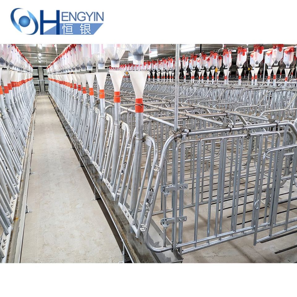Freedom Galvanized Gestation Crates for Pigs Sow Gestation Cage ...
