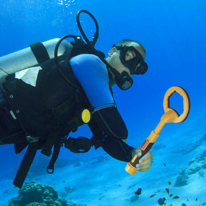 Pulse Dive Metal Detector 2 in 1 - Waterproof & Versatile
