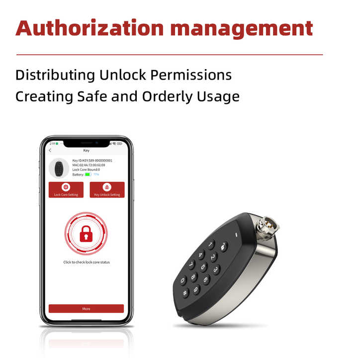 KERONG with System Software Outdoor IP66 Electronic Passive Handle Lock ...