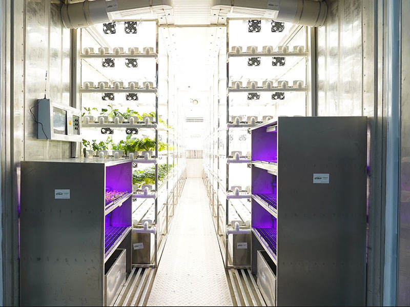 Lyine Shipping Container Farm Greenhouse Planting Container for ...