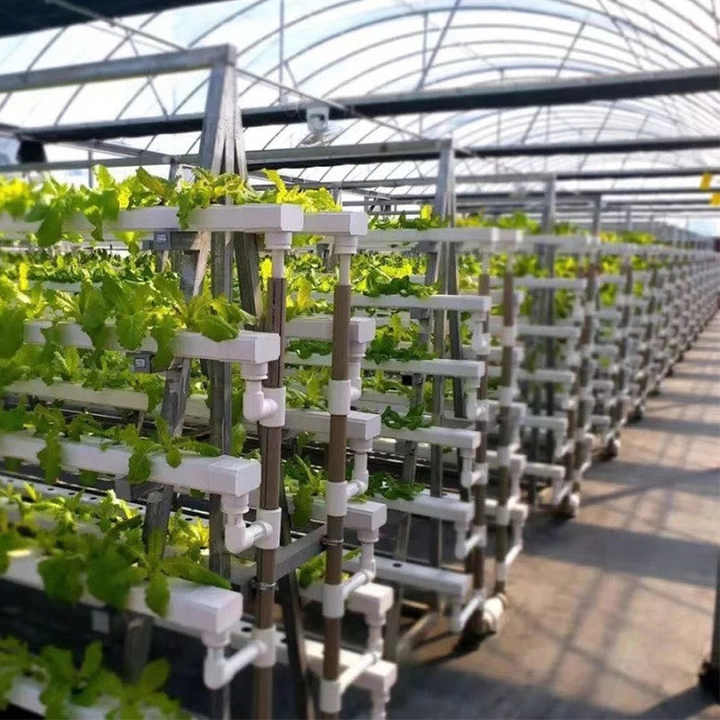 Growing System Vertical Hydroponic Pot Stack System Rdwc Hydroponic ...