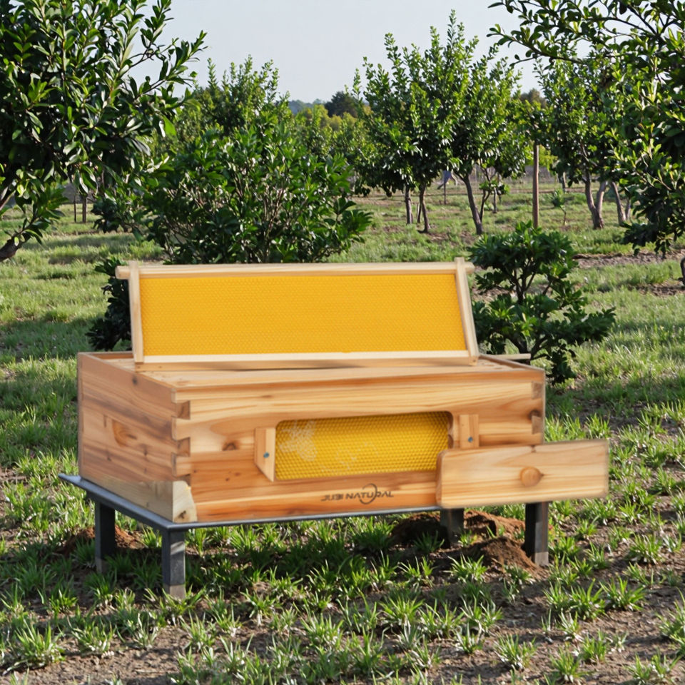 OEM/ODM Customizable Pine Wood Beehive for Bee Farms,with 10 Frames and ...