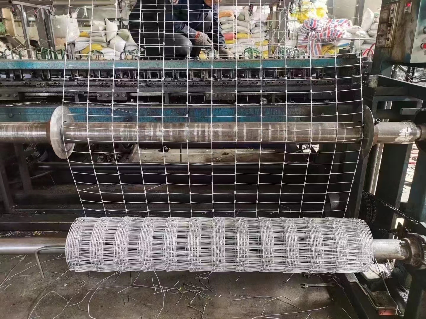 Boost Farm Efficiency with Innovative goat guard Solutions