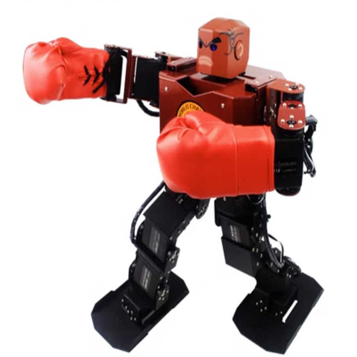 Educational Programmable Robots - Dancing Robo-Soul H3S