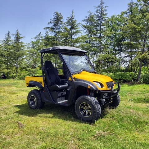 Hot Sale 4x4 10kw Electric UTV Electric Utility Vehicle with Automatic ...