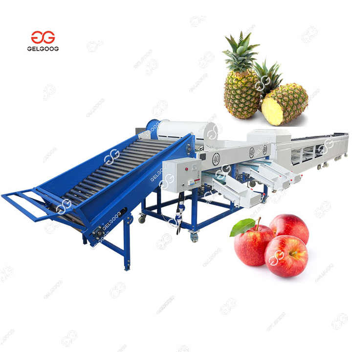 Small Fruit Grading Apple Sorter Machine Apple Pineapple Grader Machine ...
