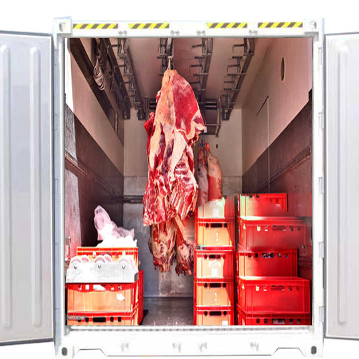 20ft Steel Meat Hanging Reefer Container with Daikin Thermo King