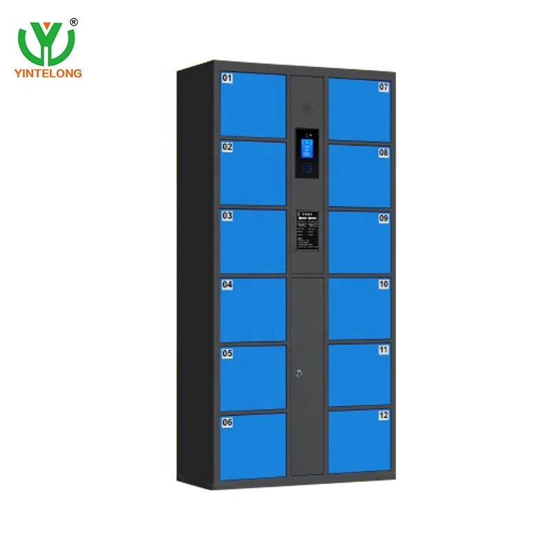 YL Smart Storage Locker with Face Recognition Electronic Lock 6/8/12 ...