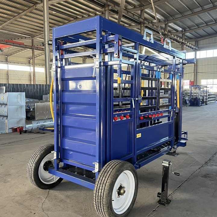 High-Efficiency Cattle Immobilization Strap for Fixing Body and ...