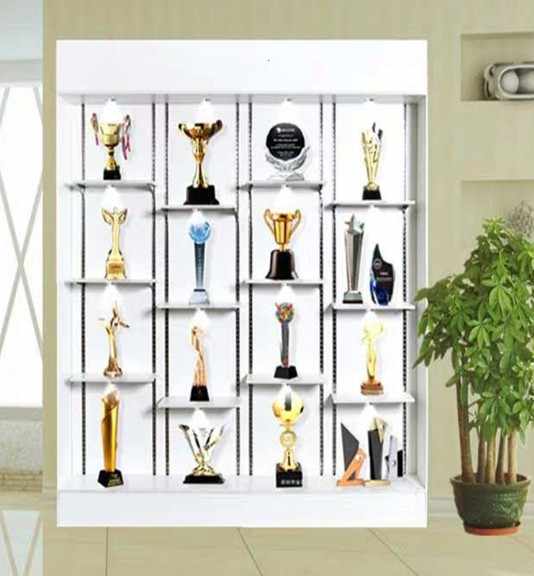 Custom Trophy Display Cabinet - Durable & Stylish Design