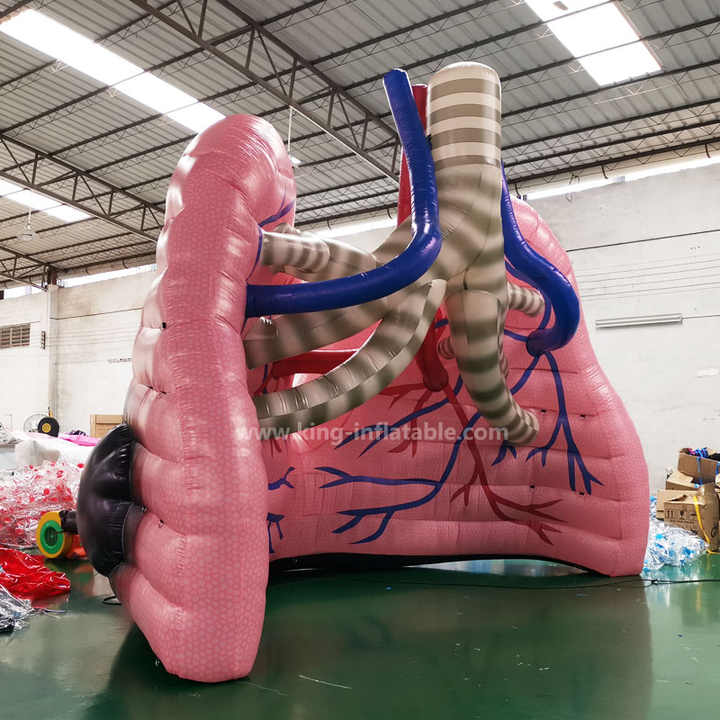 Customized Inflatable Lung Human Organs for Medical Exhibitions