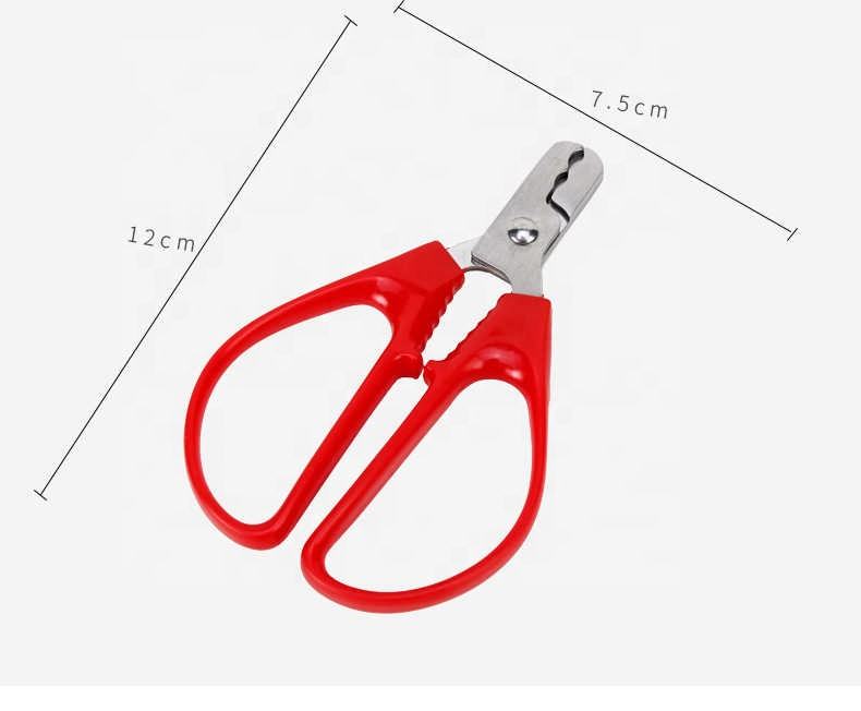 Peanut Sheller Eating Melon Seeds Pine Nuts Pliers Household Modern ...