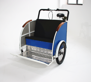 Modern Passenger Bike Trailer With Upscale Safety And Efficacy ...