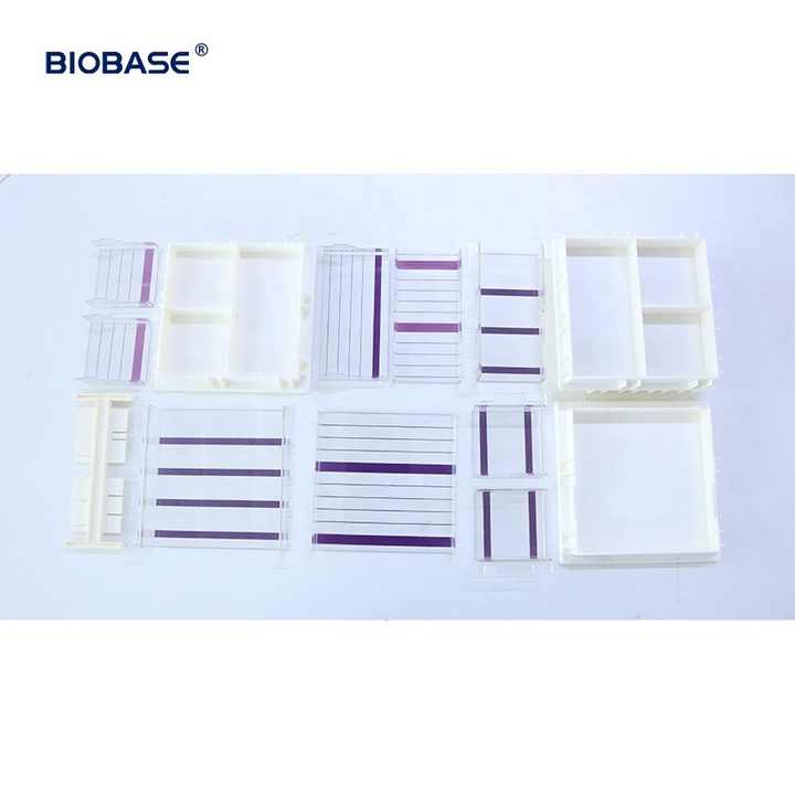 BIOBASE Horizontal Electrophoresis Tank - Gel Electrophoresis System