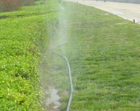 Agricultural Irrigation Layflat Micro Spray Hose Uv-resistant Micro ...