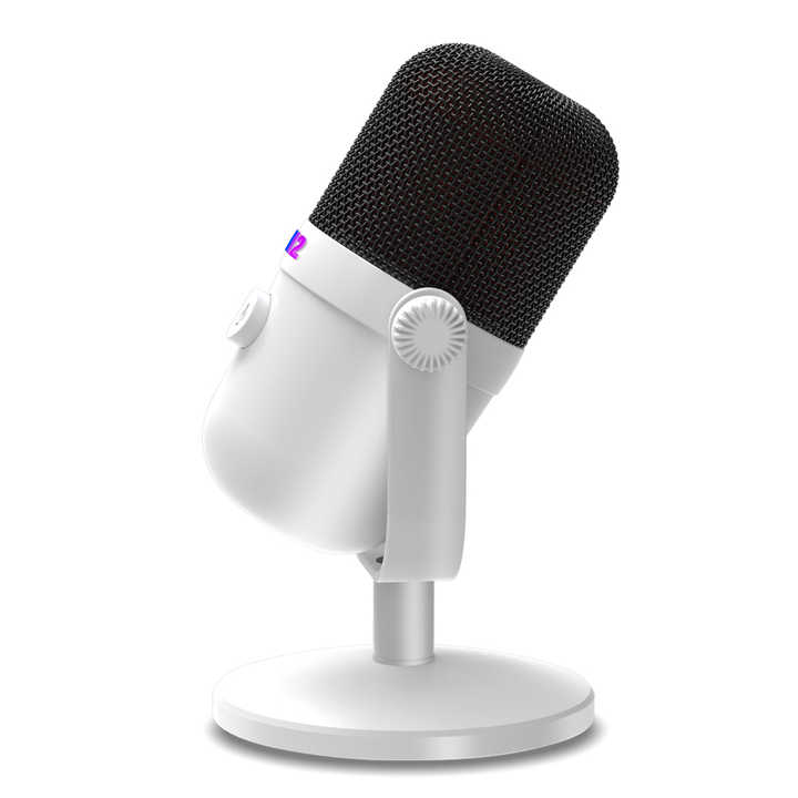 Professional RGB Wired Computer Microphone, Suitable for Desktop ...