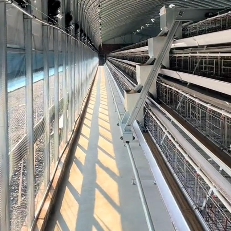 Trusted Manufacturer Long Lifespan Battery Cage for Layer Chicken ...