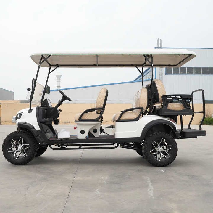 Beemotor 6-Seater Electric Golf Cart - Ideal for Hunting & Beach Resorts