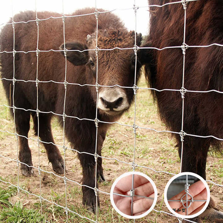 100M Roll Hinge Joint Farm Field Fence Veldspan Fence for Cattle Farm ...
