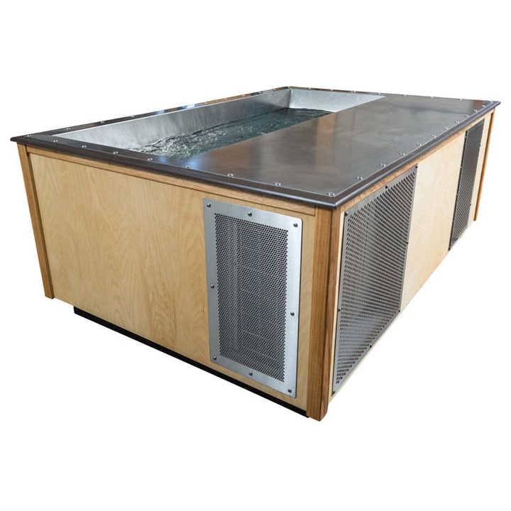 Luxury Solid Wood Cold Plunge Pool Ice Tub with Chiller