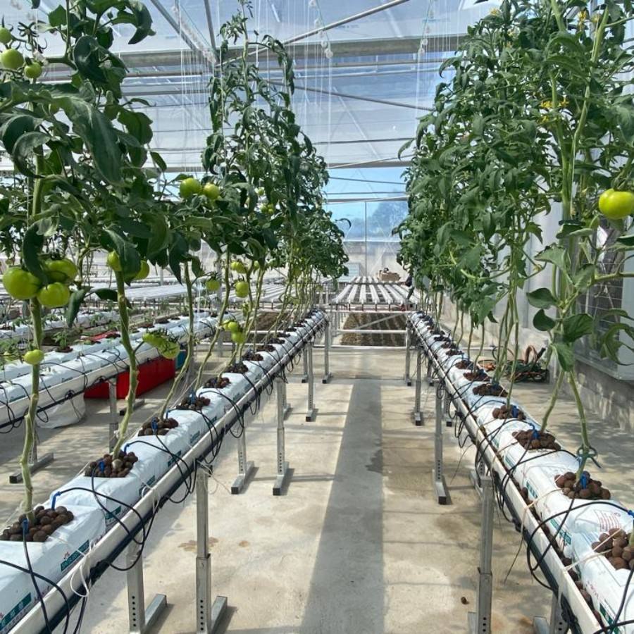 Standard Sizes Pvc Nft Gutter System Hydroponics Strawberry Gutter ...