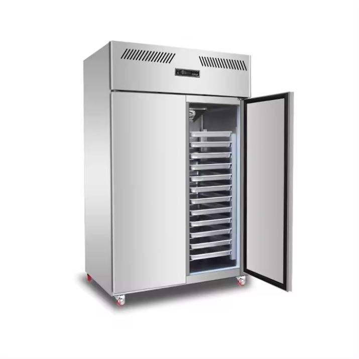 High-Efficiency 6-Door Commercial Blast Freezer with Fan Cooling, Large ...
