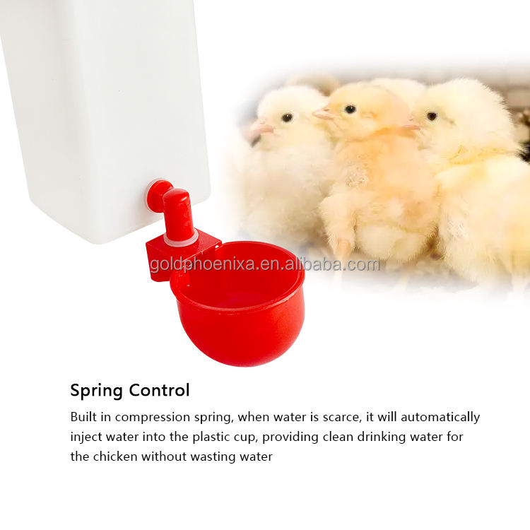 Automatic Chicken Water Cups for Poultry Quail Pigeon Duck Drinkers
