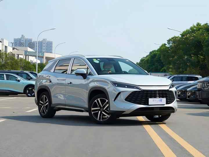 2025 Leading Version Mid-Size Smart Driving Electric SUV 160KM Long ...