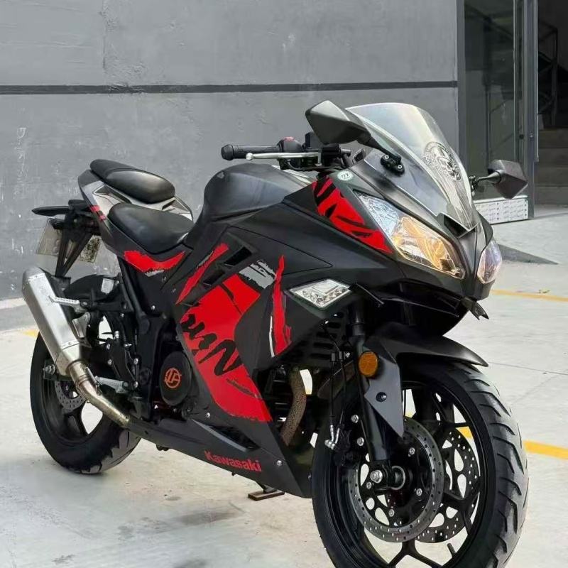 Second-Hand Renzhe 200cc Ninja V6 Sportbike Street Riding Gasoline ...