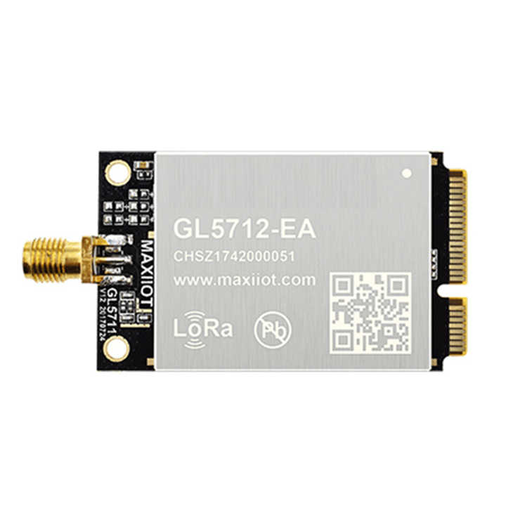 Custom Lorawan Iot Gateway Module for Smart Home & Security