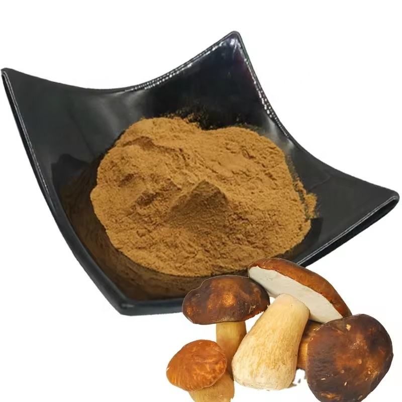 Boletus Mushroom Powders - 100% Natural Extract, 50% Polysaccharide