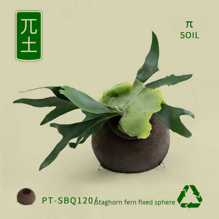 Staghorn Fern Mounting Tool with Included Sphere Mold Peat Cotton Block ...