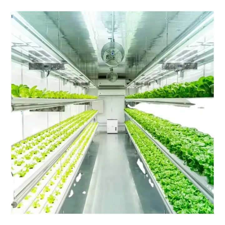 Modern Factory Plant Farms 40 FT Farm Equipment Intelligent Vegetables ...
